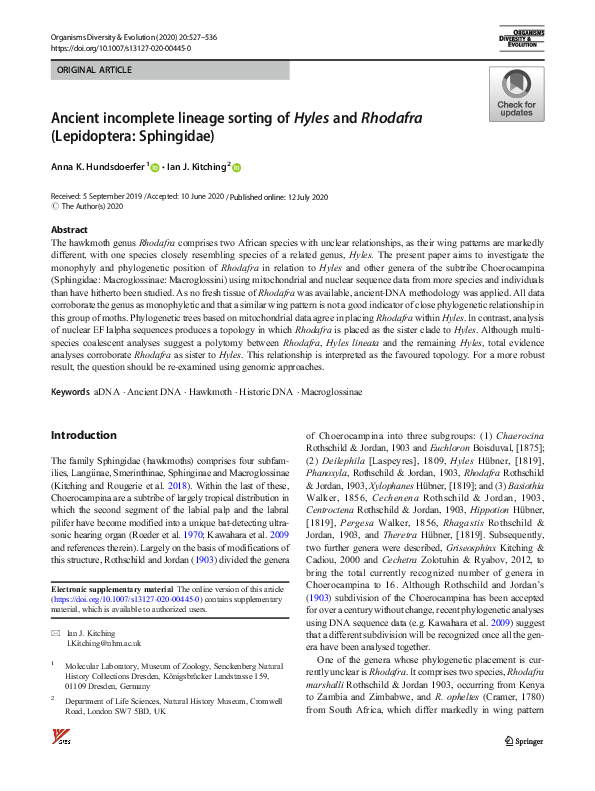 (PDF) Ancient incomplete lineage sorting of Hyles and Rhodafra ...