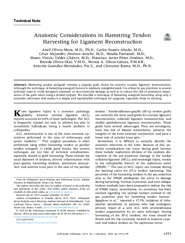 (PDF) Anatomic Considerations in Hamstring Tendon Harvesting for ...