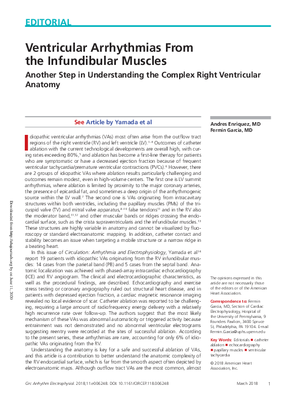(PDF) Ventricular Arrhythmias From the Infundibular Muscles: Another ...