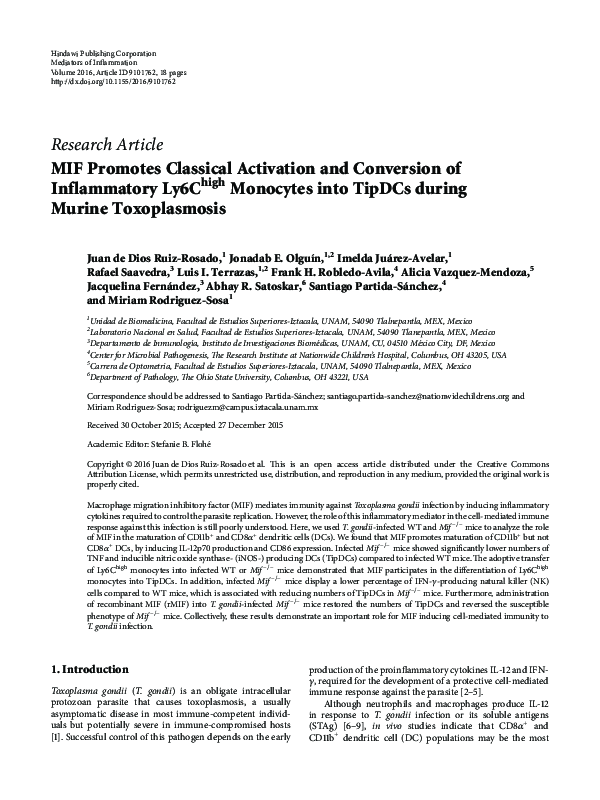 (PDF) MIF Promotes Classical Activation and Conversion of Inflammatory ...