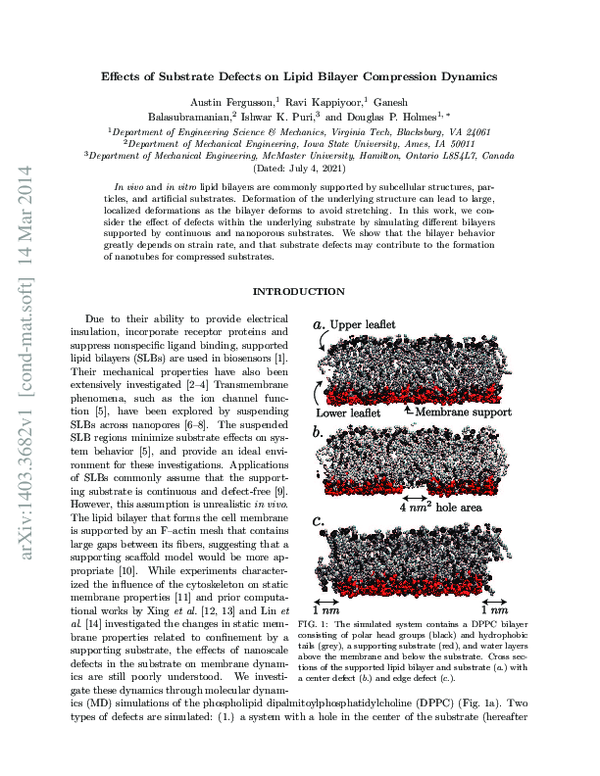 (PDF) Effects of Substrate Defects on Lipid Bilayer Compression Dynamics