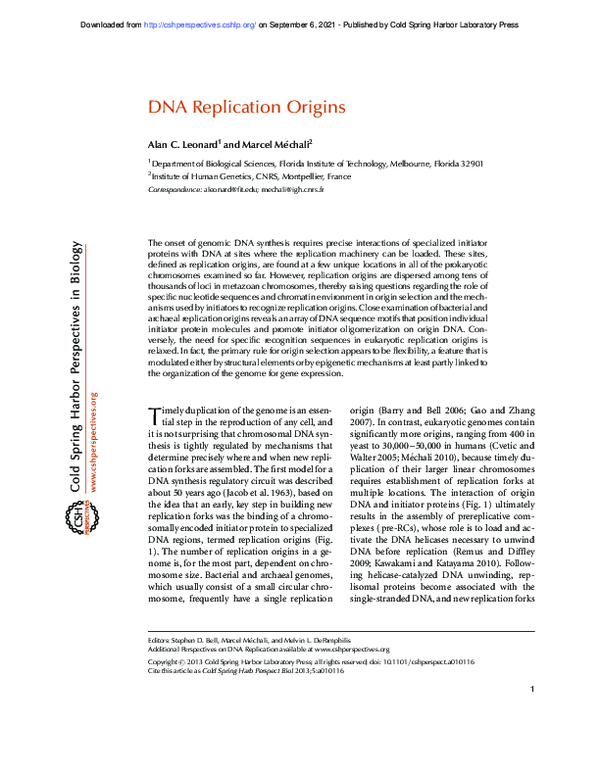 (PDF) DNA replication origins