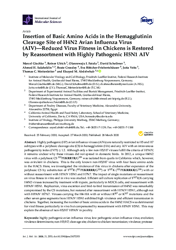 (PDF) Insertion of Basic Amino Acids in the Hemagglutinin Cleavage Site ...