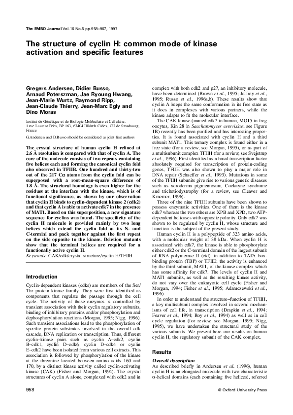 (PDF) The structure of cyclin H: common mode of kinase activation and ...