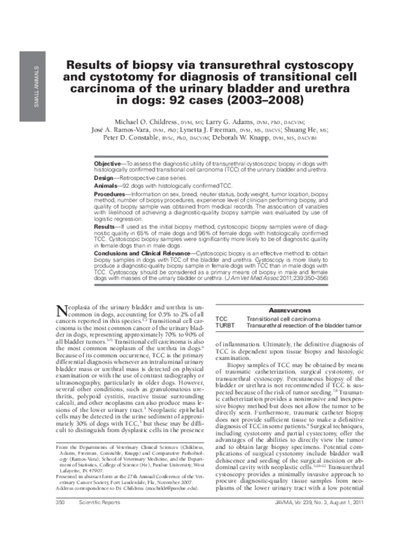 (PDF) Results of biopsy via transurethral cystoscopy and cystotomy for ...