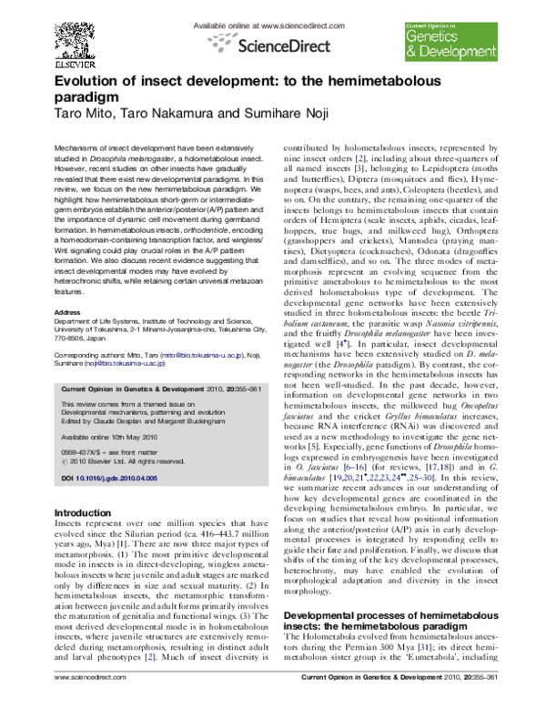 (PDF) Evolution of insect development: to the hemimetabolous paradigm