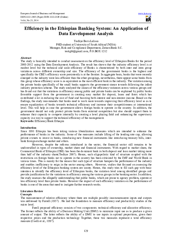 (PDF) Efficiency in the Ethiopian Banking System: An Application of Data Envelopment Analysis ...