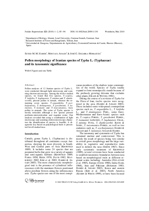 (PDF) Pollen morphology of Iranian species of Typha L. (Typhaceae) and ...