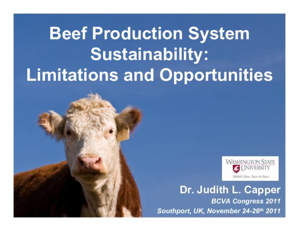 (PDF) Beef Production System Sustainability: Limitations and Opportunities
