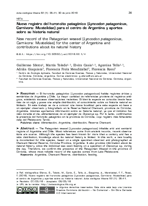 (PDF) Nuevo registro del huroncito patagónico (Lyncodon patagonicus ...