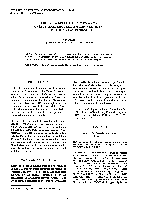 (PDF) Four New Species of Micronecta (Insecta: Heteroptera ...