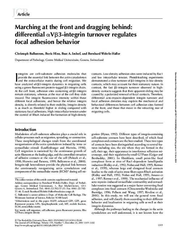 (PDF) Marching at the front and dragging behind: differential alphaVbeta3-integrin turnover ...