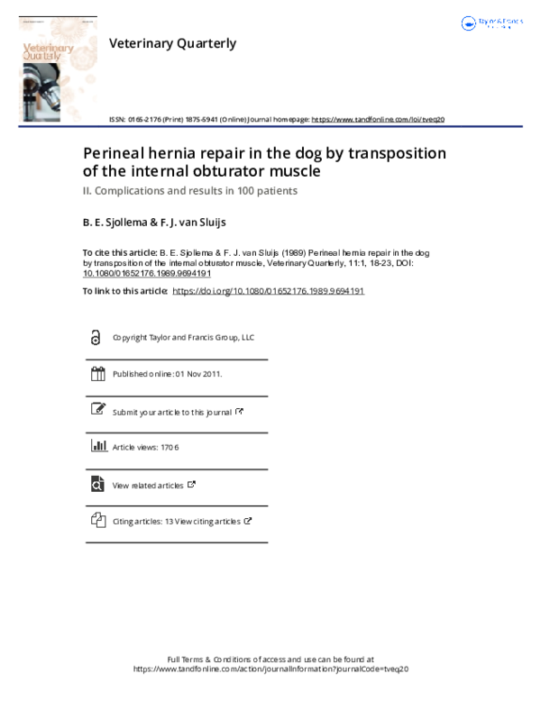(PDF) Perineal hernia repair in the dog by transposition of the ...