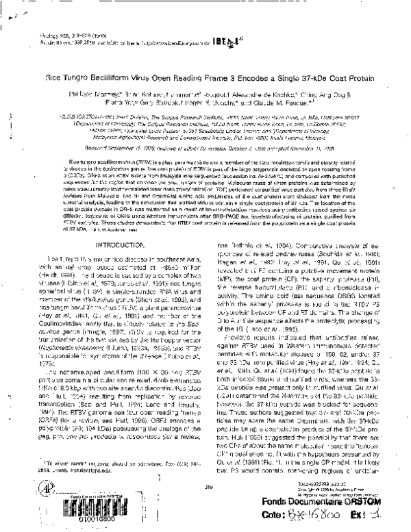 (PDF) Rice Tungro Bacilliform Virus Open Reading Frame 3 Encodes a ...