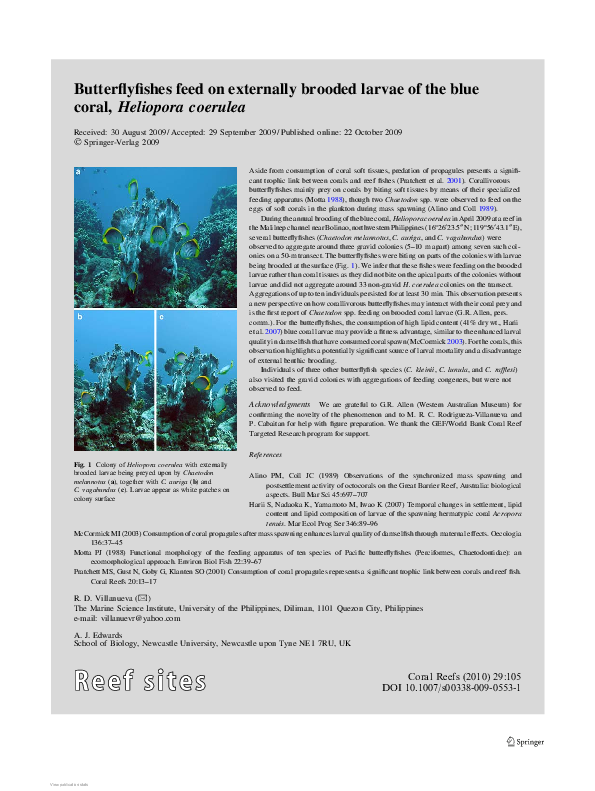 (PDF) Butterflyfishes feed on externally brooded larvae of the blue ...