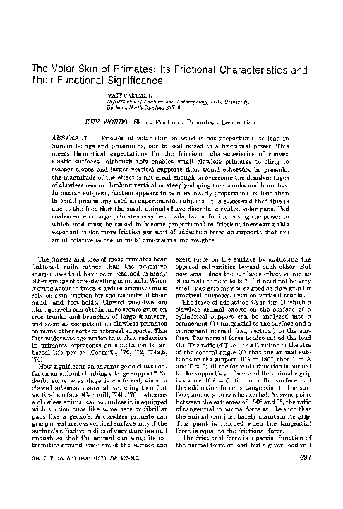 (PDF) The volar skin of primates: Its frictional characteristics and ...