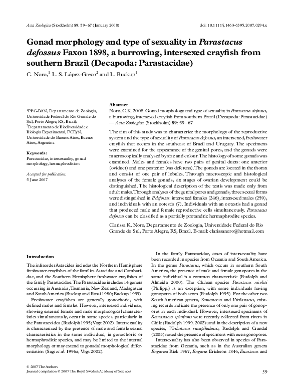 (PDF) Gonad morphology and type of sexuality in Parastacus defossus ...