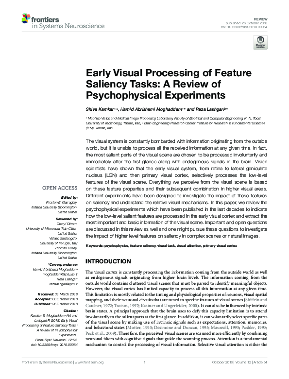 (PDF) Early Visual Processing of Feature Saliency Tasks: A Review of Psychophysical Experiments
