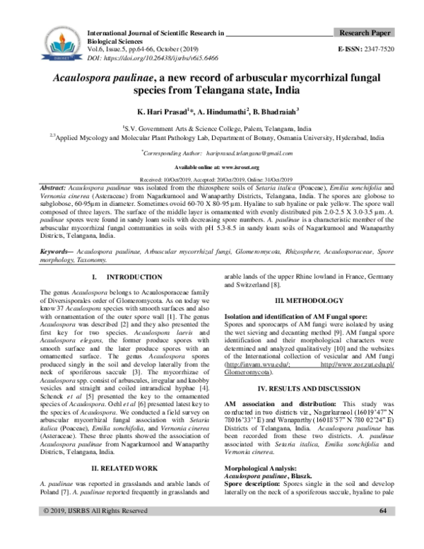 (PDF) Acaulospora paulinae, a new record of arbuscular mycorrhizal ...