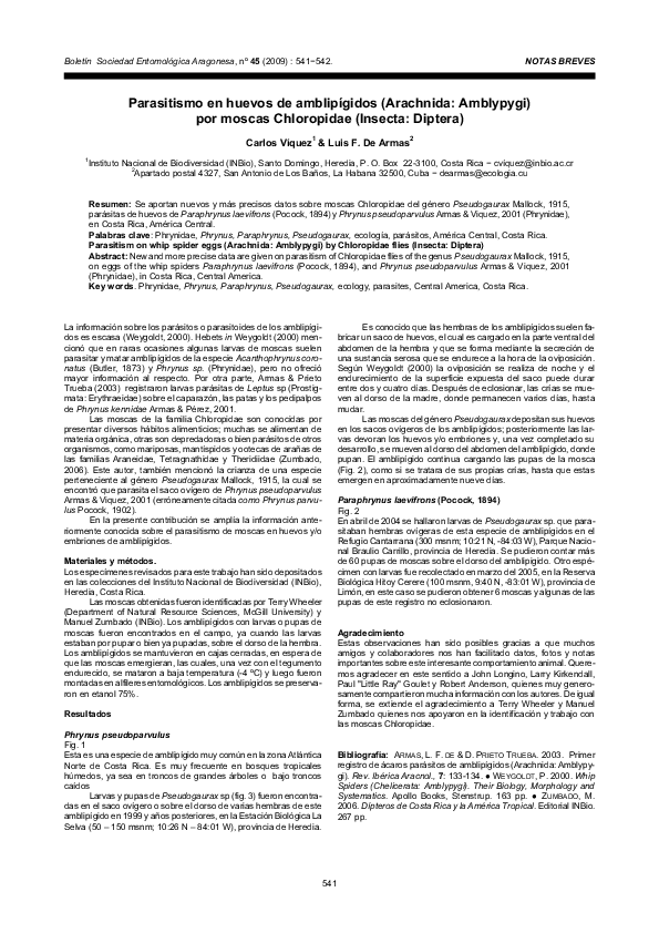 (PDF) Parasitismo en huevos de amblipigidos (Arachnida: Amblypygi) por ...