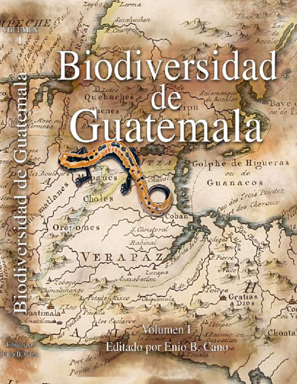 (PDF) Biodiversidad de Guatemala. Amblypygi. Los amblipígidos de ...