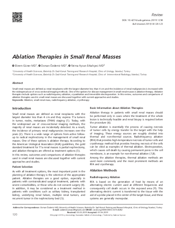 (PDF) Radiofrequency Ablation Treatment in Small Renal Masses | Ayhan Karaköse - Academia.edu
