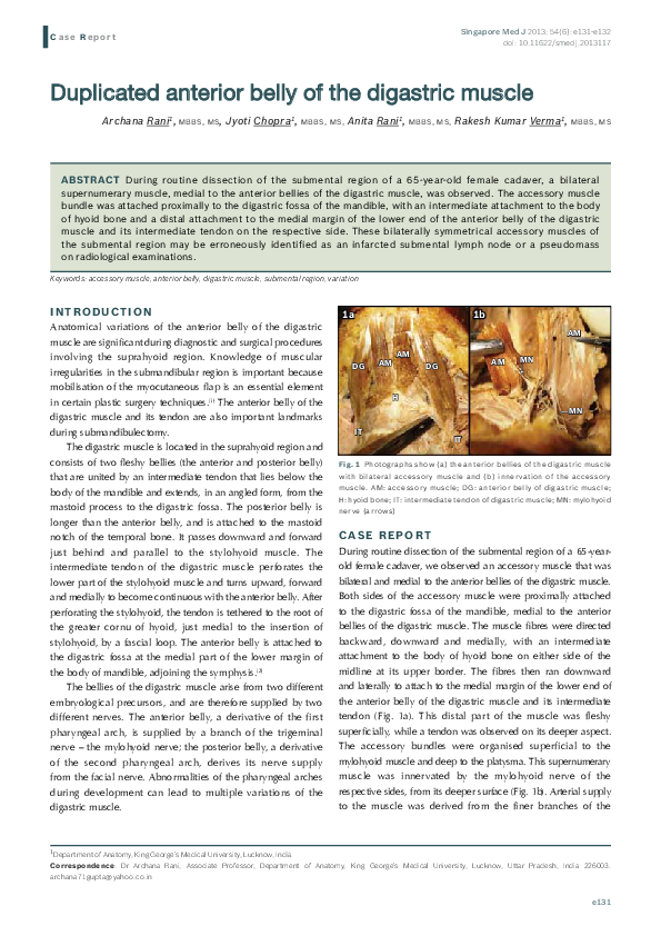 (PDF) Duplicated anterior belly of the digastric muscle