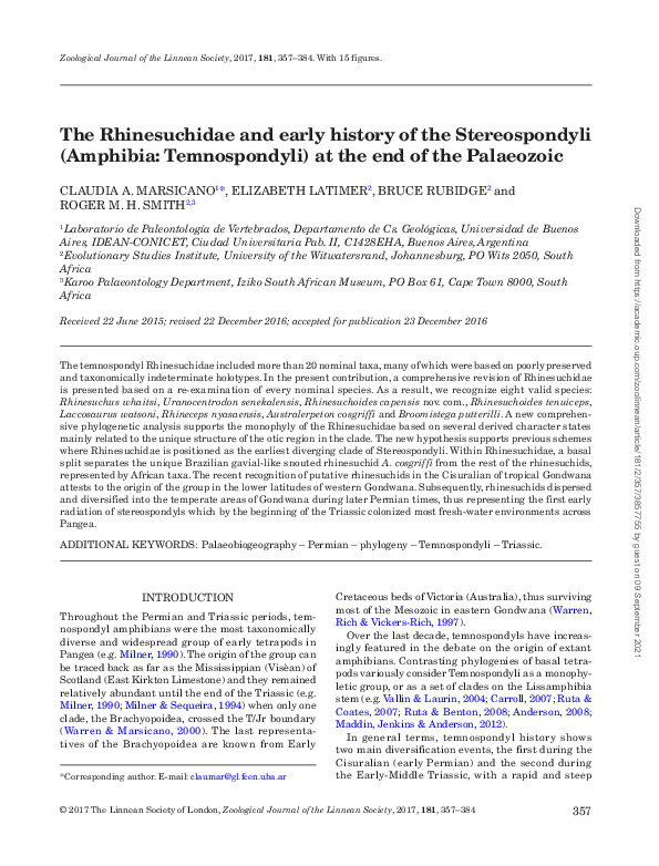 (PDF) The Rhinesuchidae and early history of the Stereospondyli ...