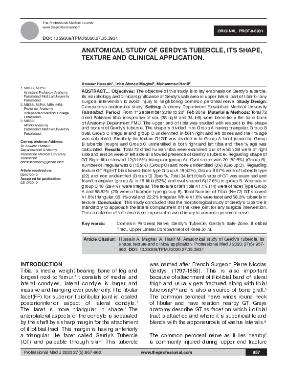 (PDF) Anatomical study of Gerdy’s tubercle, its shape, texture and ...