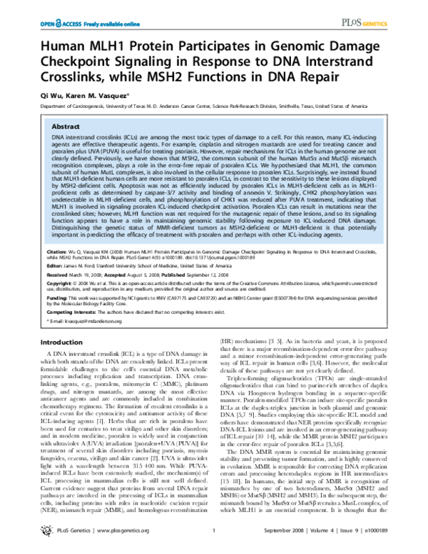 (PDF) Human MLH1 Protein Participates in Genomic Damage Checkpoint ...