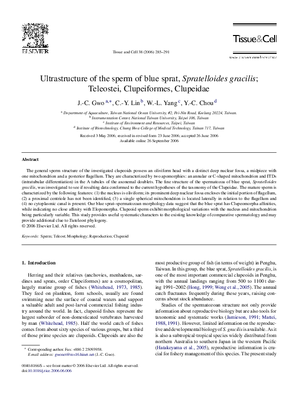 (PDF) Ultrastructure of the sperm of blue sprat, Spratelloides gracilis ...