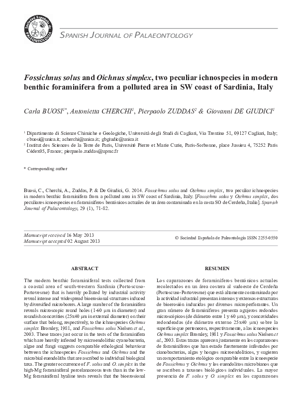 (PDF) Fossichnus solus and Oichnus simplex, two peculiar ichnospecies ...