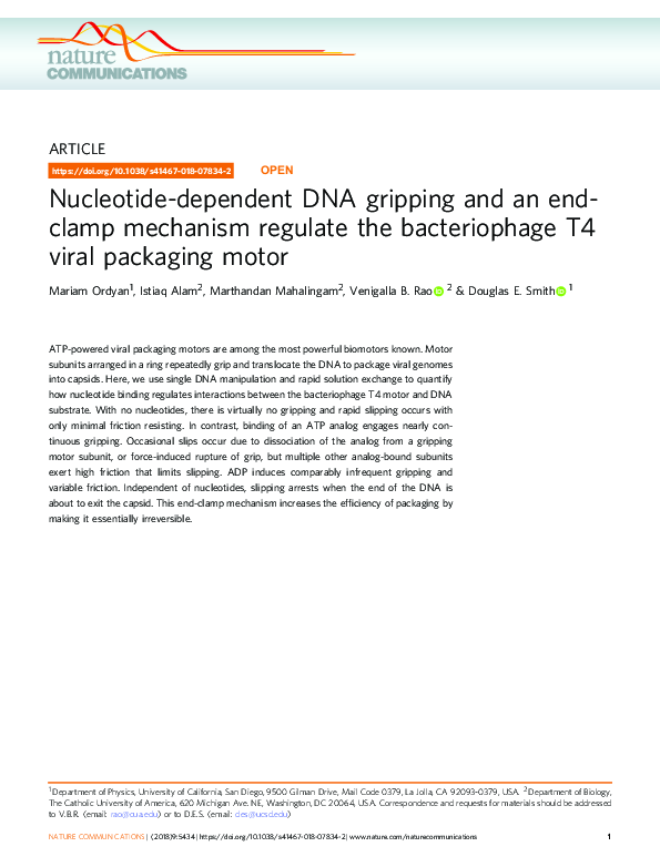 (PDF) Nucleotide-dependent DNA gripping and an end-clamp mechanism ...
