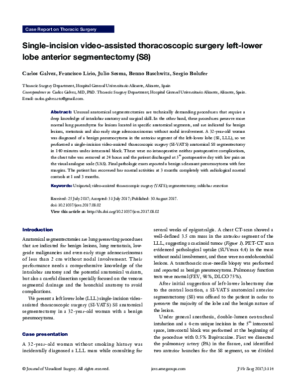 (PDF) Single-incision video-assisted thoracoscopic right pneumonectomy