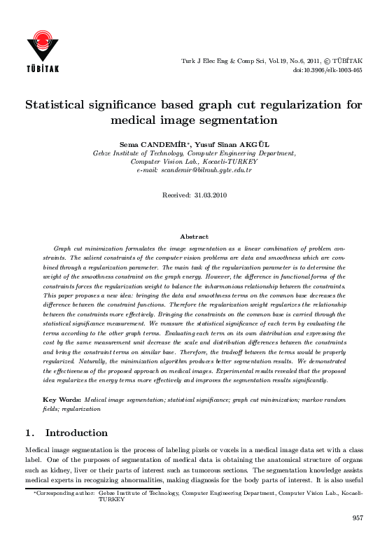 (PDF) Statistical significance based graph cut regularization for medical image segmentation