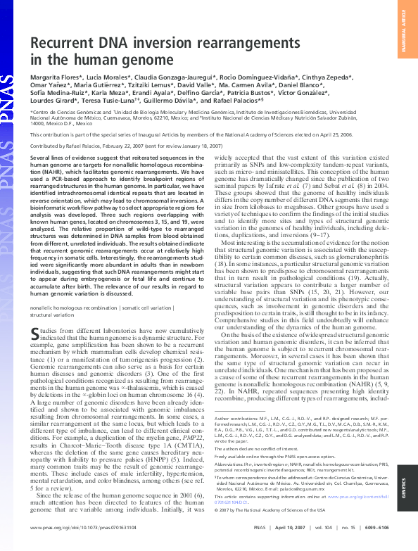 (PDF) Recurrent DNA inversion rearrangements in the human genome