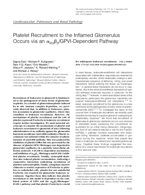 (PDF) Platelet Recruitment to the Inflamed Glomerulus Occurs via an ...