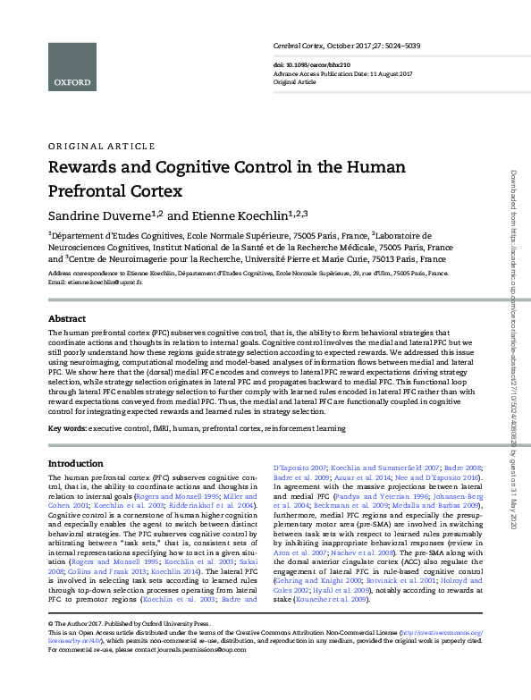 (PDF) Rewards and Cognitive Control in the Human Prefrontal Cortex