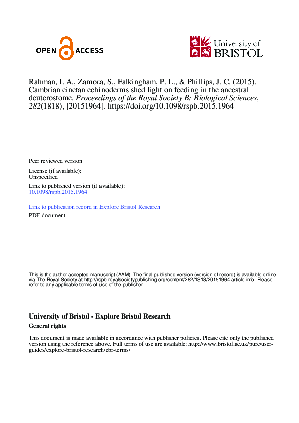 (PDF) Cambrian cinctan echinoderms shed light on feeding in the ...