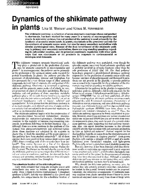 (PDF) Dynamics of the shikimate pathway in plants