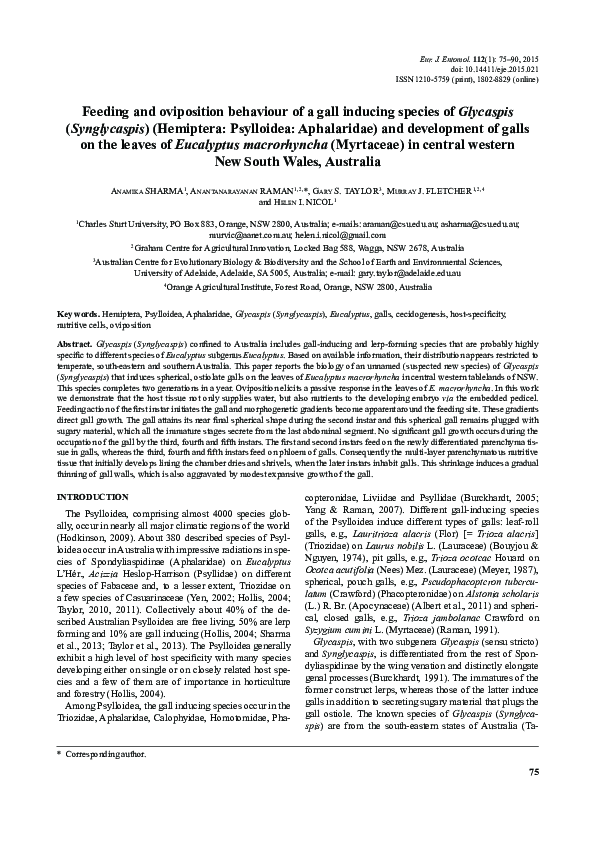 (PDF) Feeding and oviposition behaviour of a gall inducing species of ...