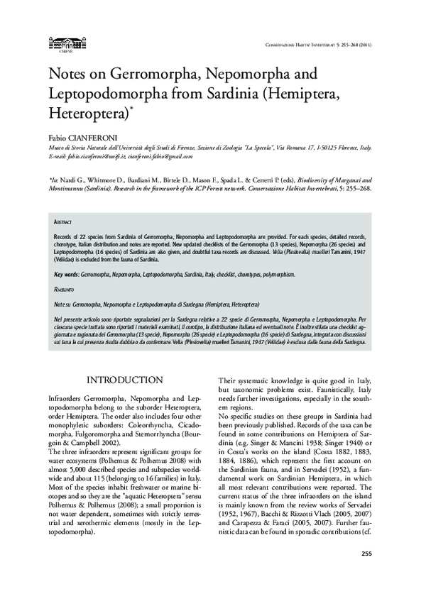 (PDF) Notes on Gerromorpha, Nepomorpha and Leptopodomorpha from ...