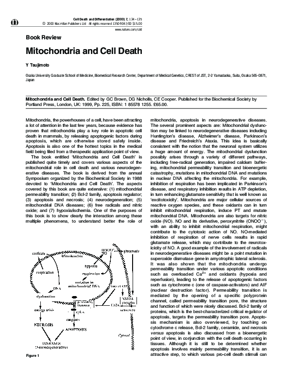 (PDF) Mitochondria and Cell Death | Valeria Petronilli - Academia.edu