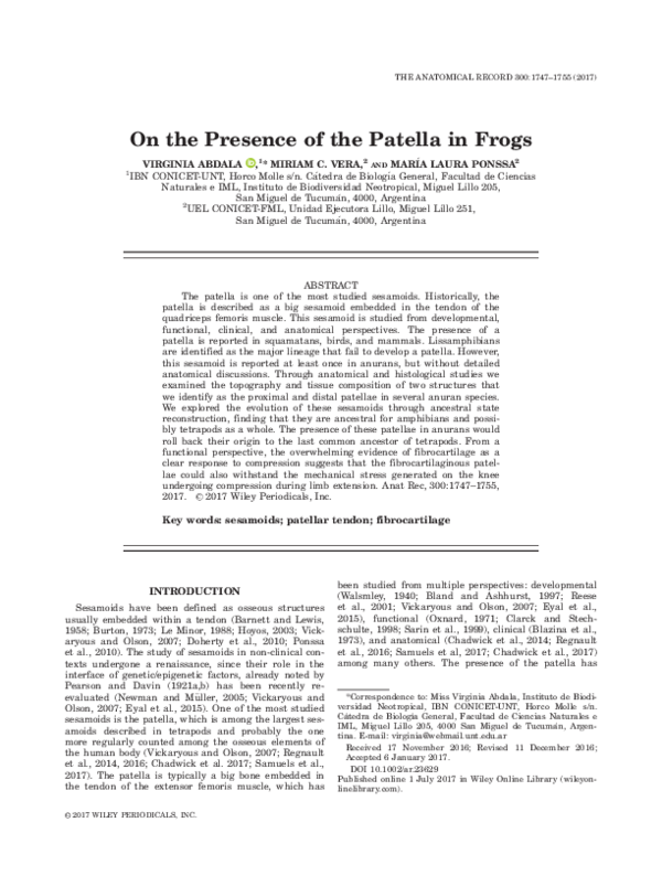 (PDF) On the Presence of the Patella in Frogs