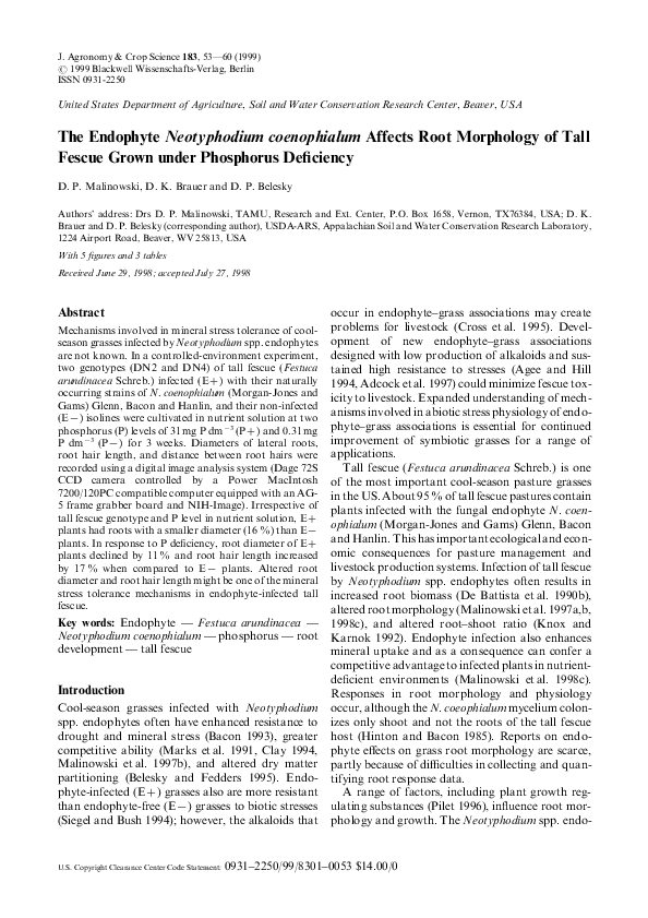 (PDF) The Endophyte Neotyphodium coenophialum Affects Root Morphology ...