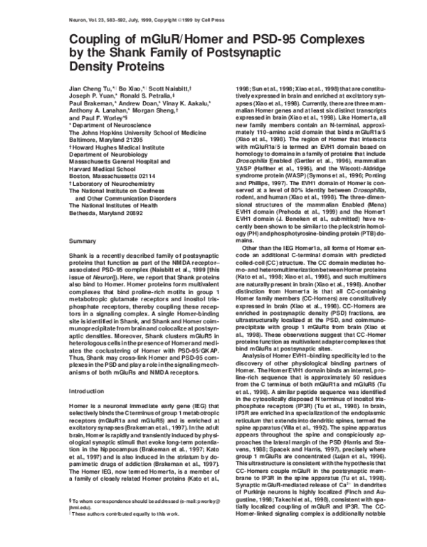 (PDF) Coupling of mGluR/Homer and PSD-95 complexes by the Shank family ...