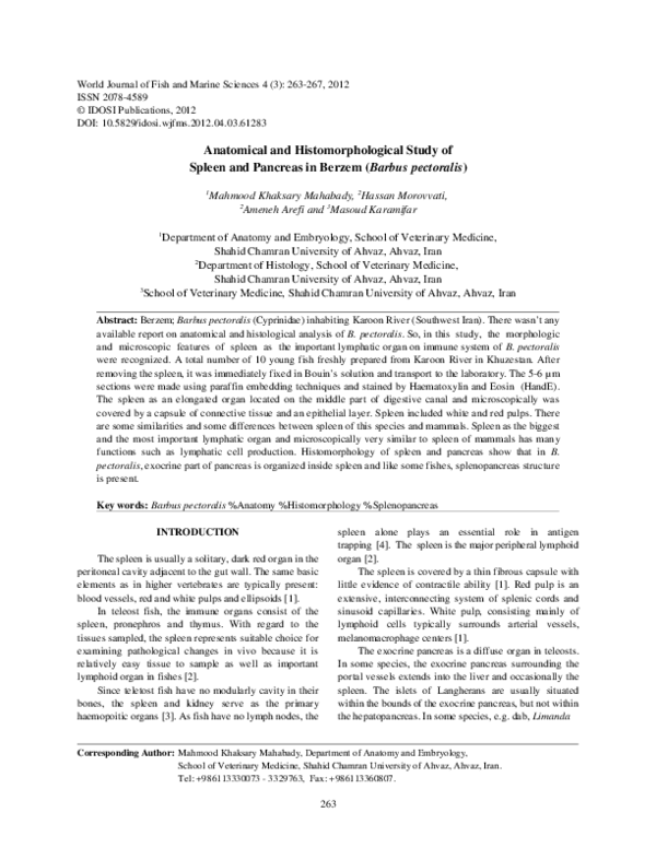 (PDF) Anatomical and Histomorphological Study of Spleen and Pancreas in ...