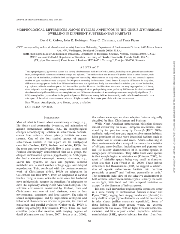 (PDF) Morphological Differences Among Eyeless Amphipods in the Genus ...