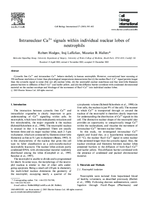 (PDF) Intranuclear Ca2+signals within individual nuclear lobes of ...