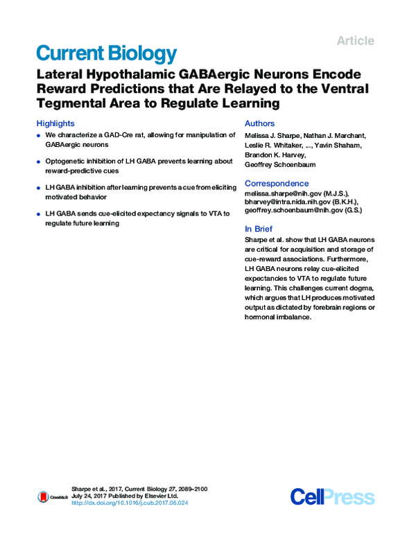 (PDF) Lateral Hypothalamic GABAergic Neurons Encode Reward Predictions ... (PDF) Lateral Hypothalamic GABAergic Neurons Encode Reward Predictions ...